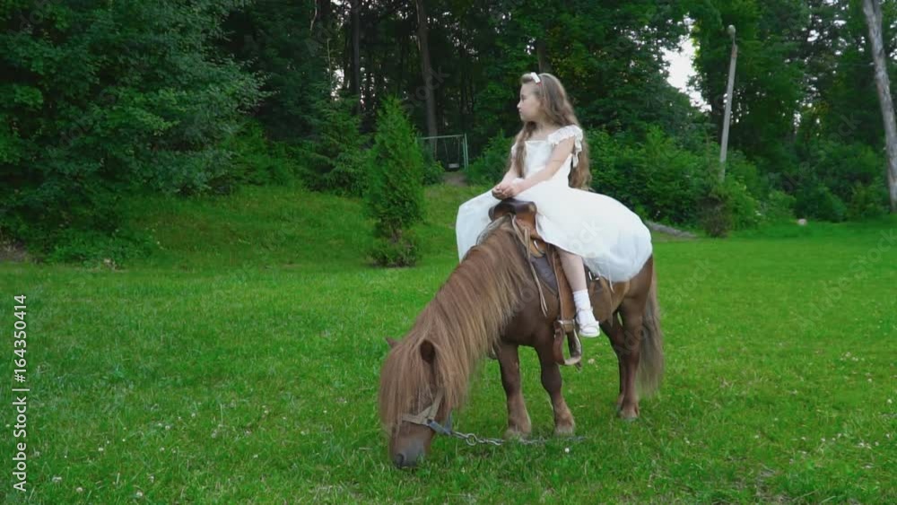 Little girl is riding a pony Stock Video | Adobe Stock