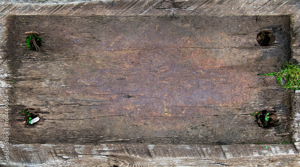 wood frame with moss on a log. wood place the graphic in rustic style ...