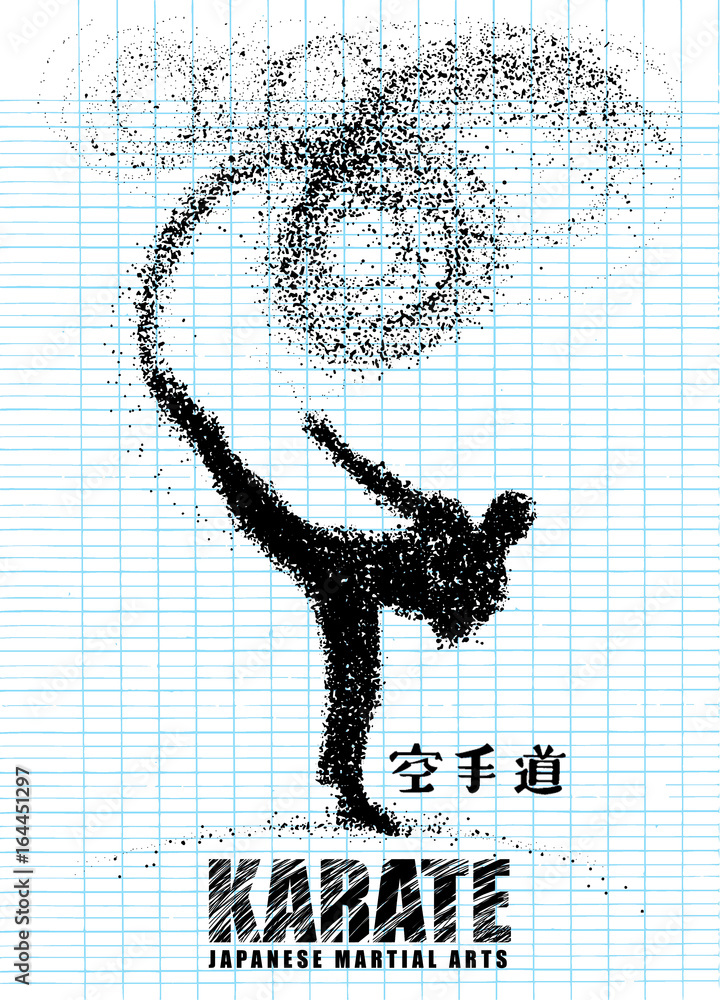 Silhouette of a karateka doing standing side kick .Vector graphics ...