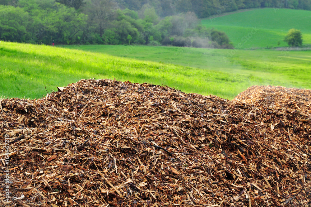 Wood chips biomass nature Stock Photo | Adobe Stock