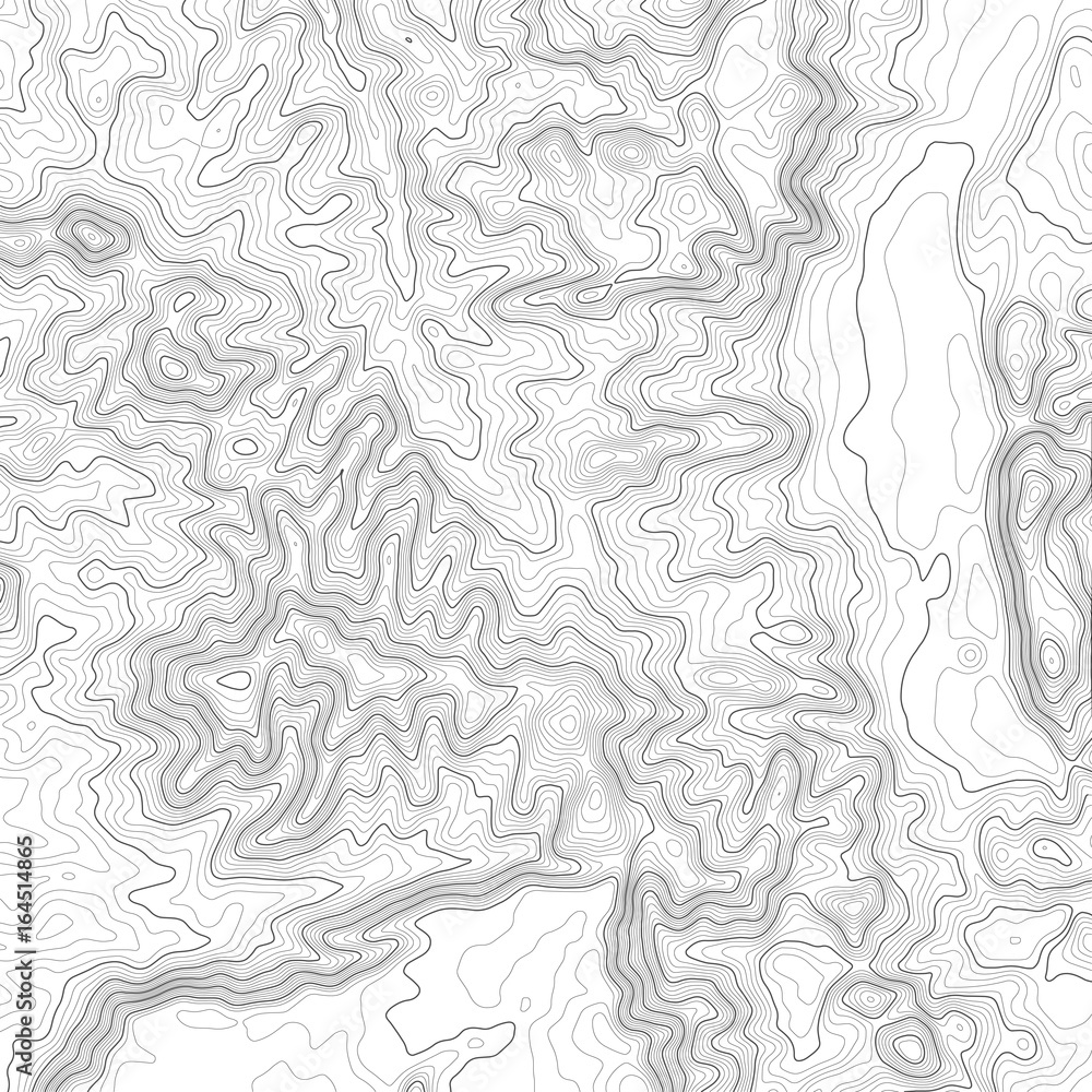 Topographic map background with space for copy . Line topography map ...