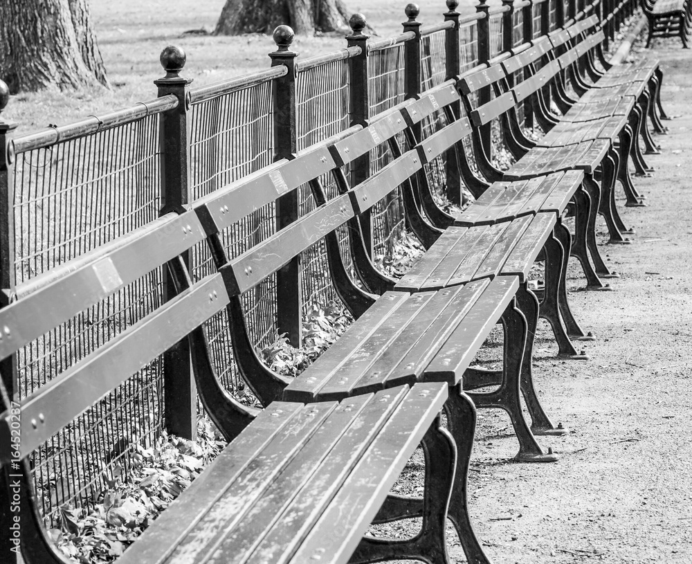 Benches invite to relax at Central Park New York Stock Photo | Adobe Stock
