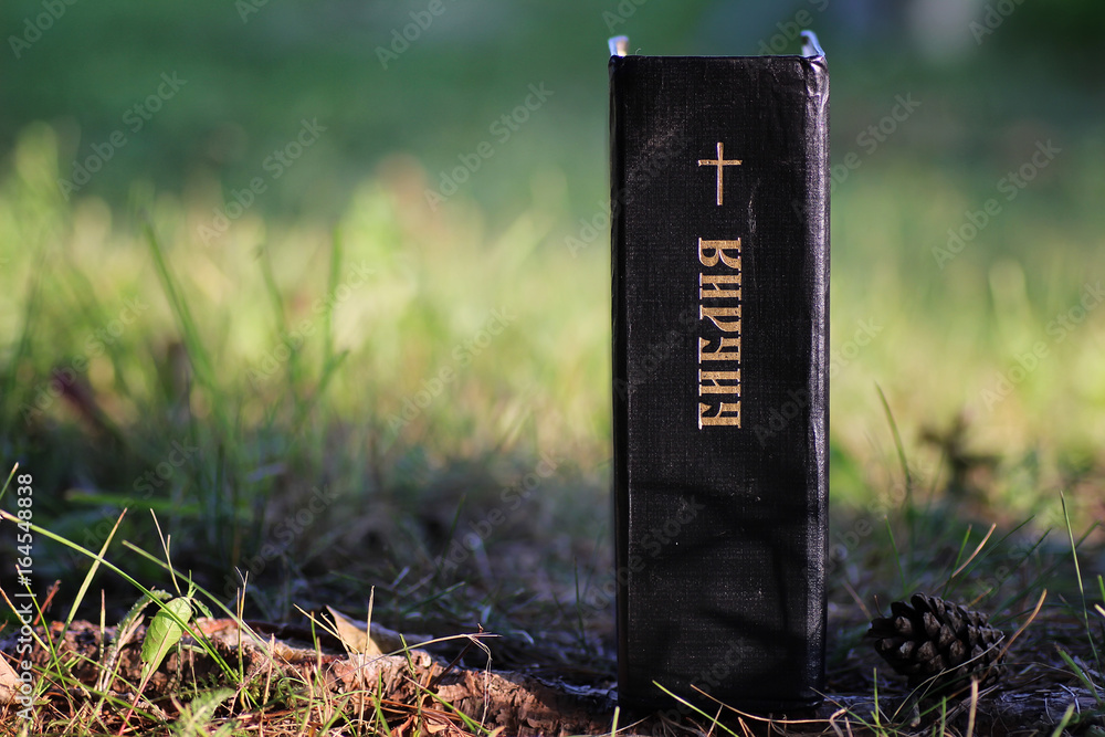 inscription on the book of the Bible "Bible" with cross in nature Stock ...