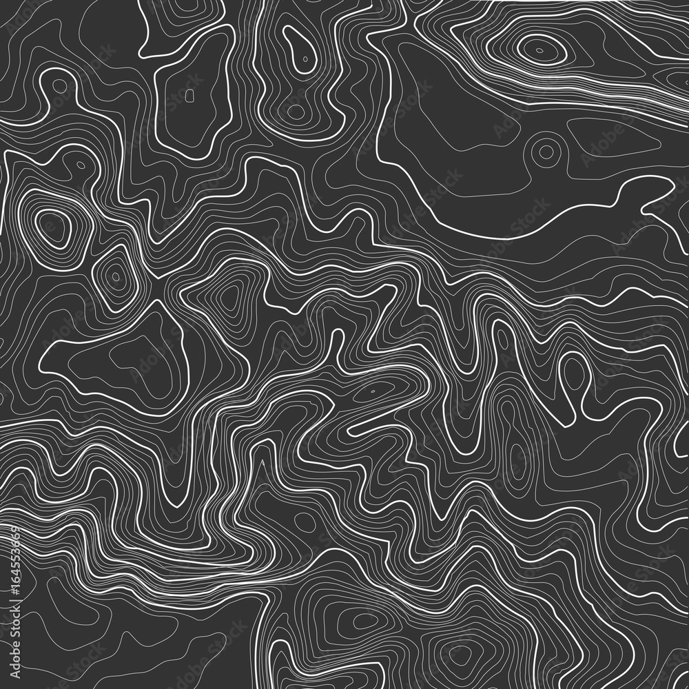 Topographic map background with space for copy . Line topography map ...