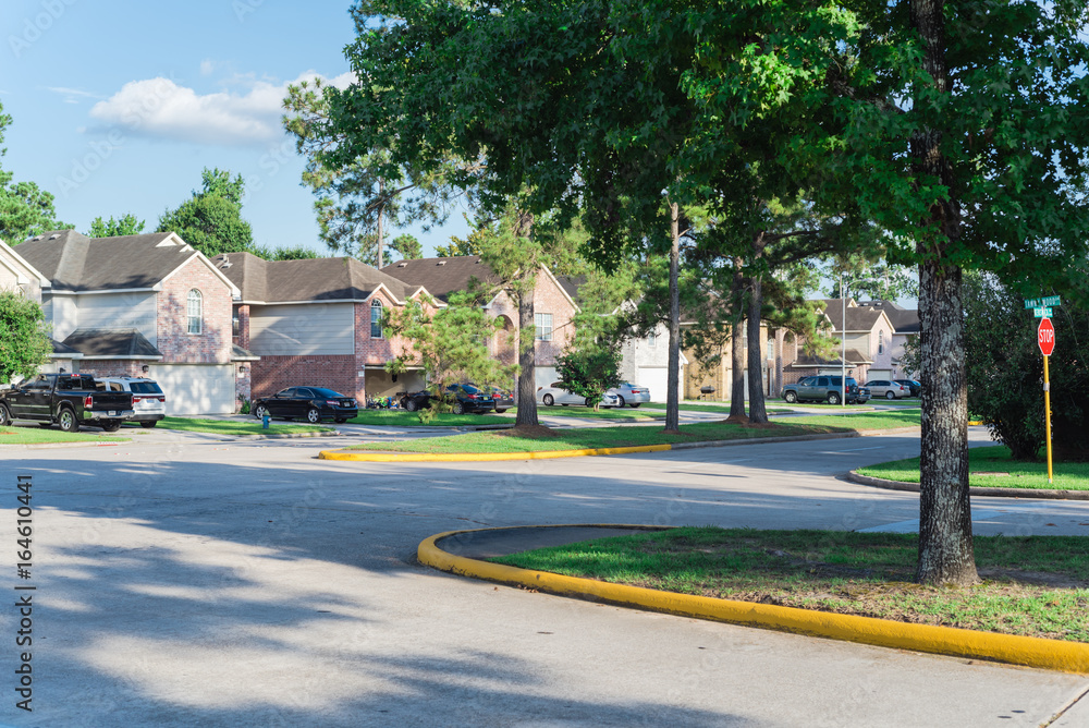 Suburban Neighborhood Street Corner