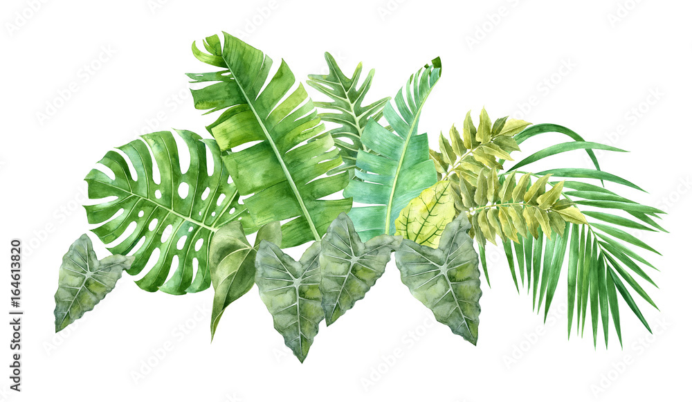 watercolor border with tropical leaves Stock Illustration | Adobe Stock