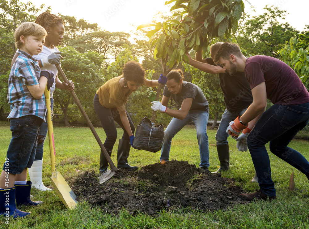 Group of people plant a tree together outdoors Stock Photo | Adobe Stock