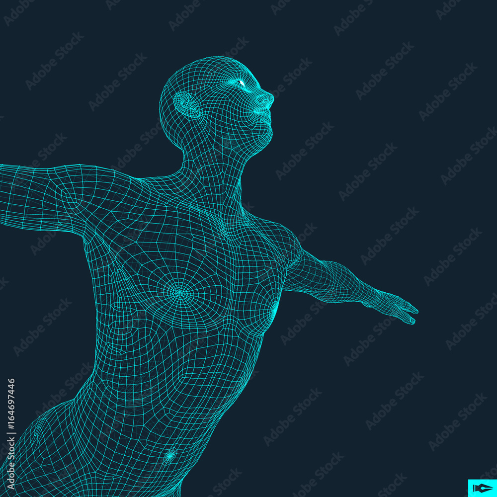 3D Model of Man. Human Body Wire Model. Design Element. Technology ...