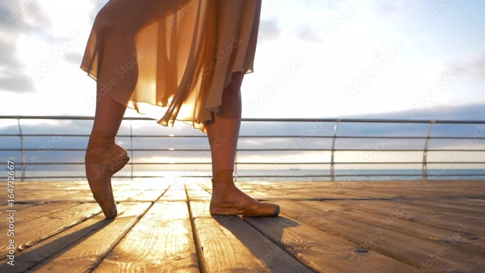 Close up of a ballet dancer's feet as she practices in pointe exercises ...