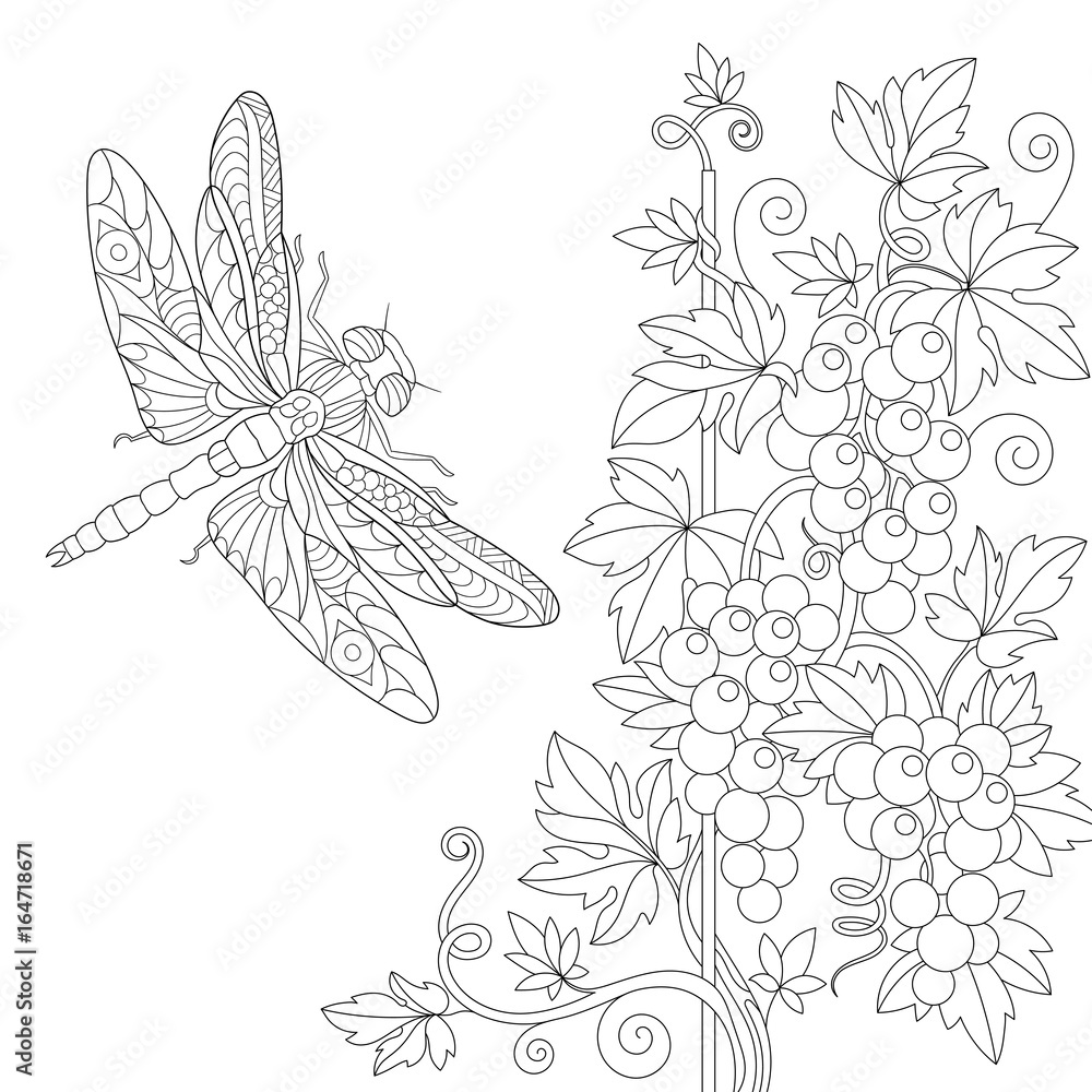 Coloring page of dragonfly and grape vine. Freehand sketch drawing for ...