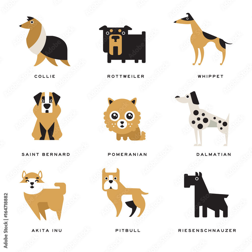 Collection of different dogs breeds characters and lettering breed in ...