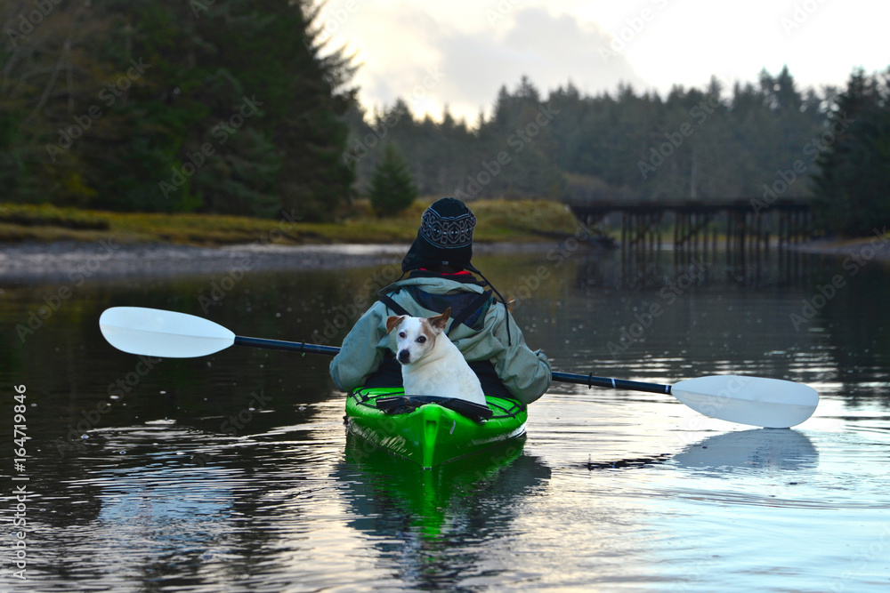 dog kayaking Stock Photo | Adobe Stock
