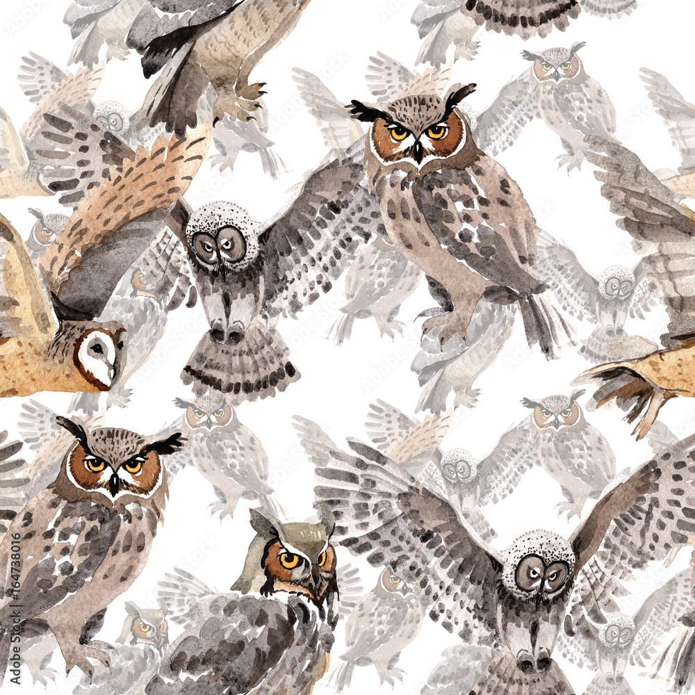 Sky bird owl pattern in a wildlife by watercolor style. Wild freedom ...