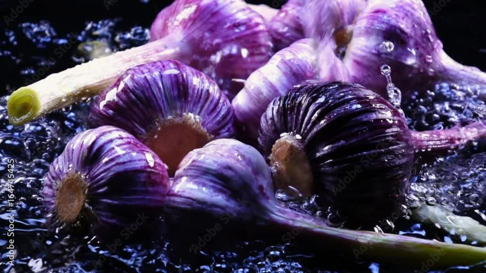 Amazing bathing for young garlic, laying in shallow water in back-light ...