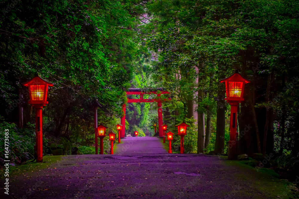 The night view of the approach to the Hakone shrine in a cedar forest ...