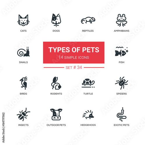 Pet Types - Modern simple silhouette line design icons, pictograms set ...