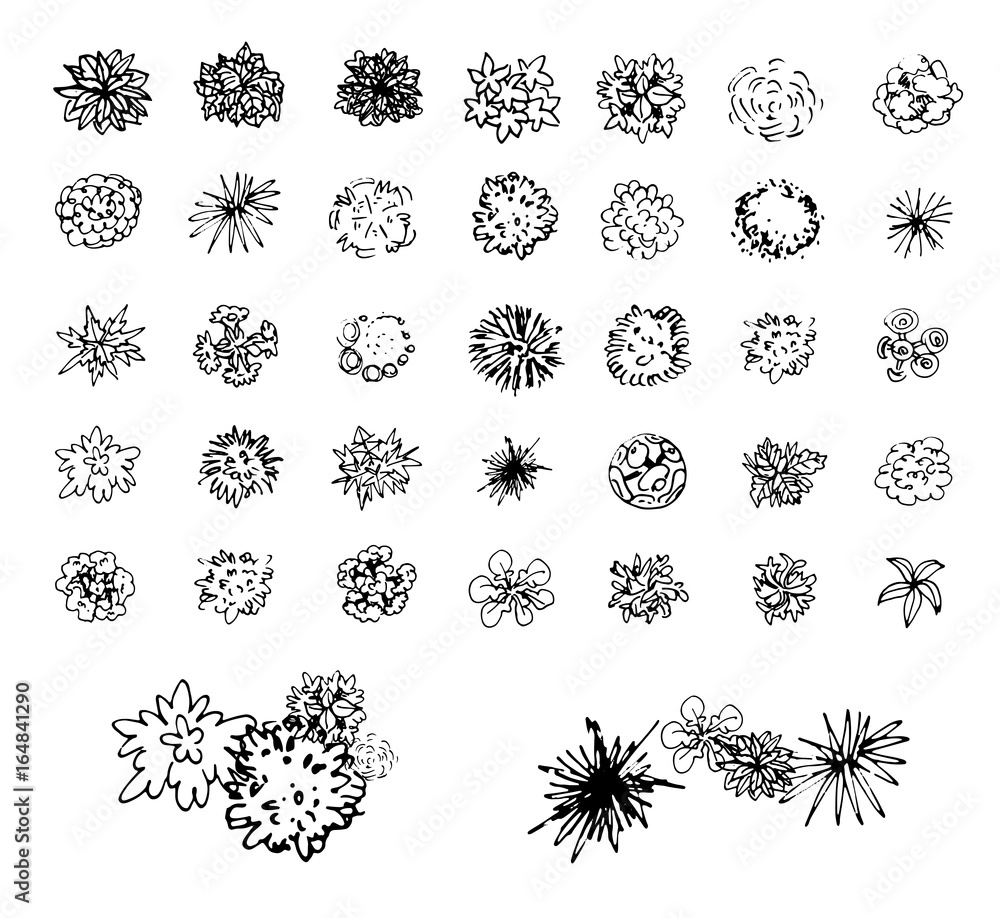 Various trees, bushes and shrubs, top view for landscape design plan ...