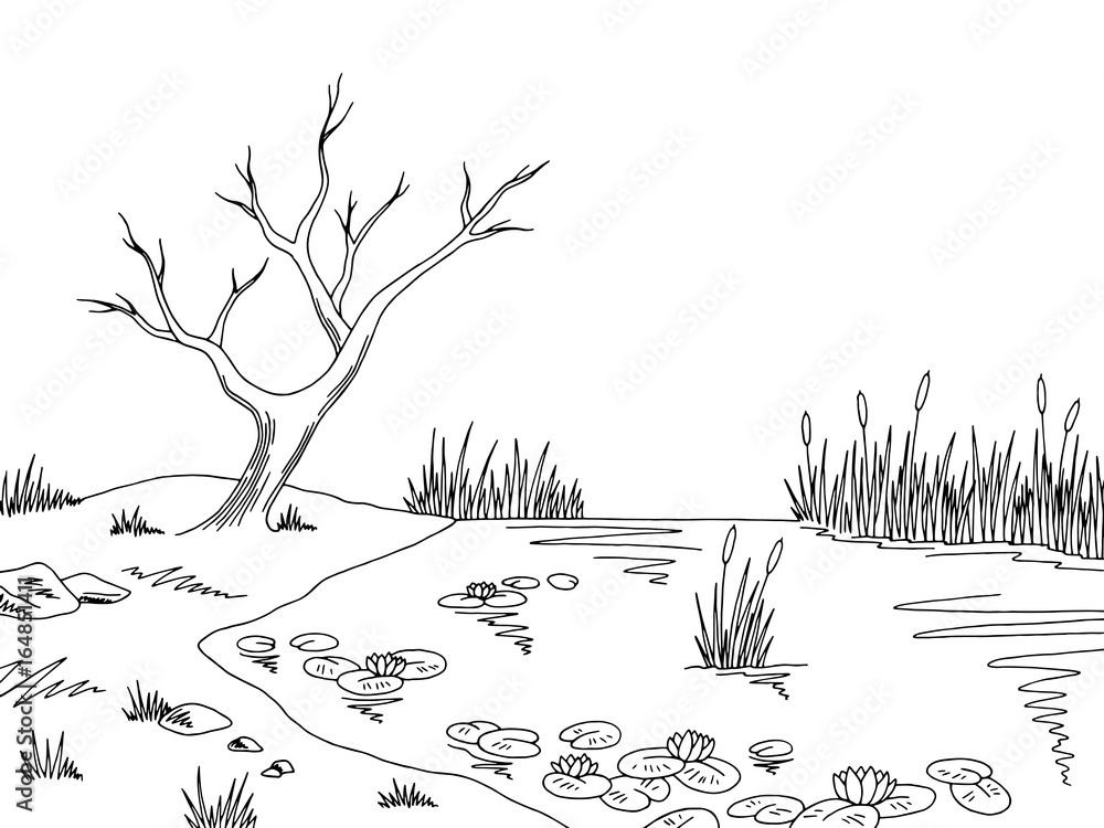 Bog swamp graphic black white landscape sketch illustration vector ...