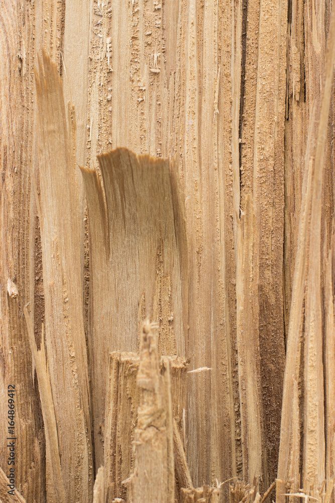 Splintered Wood Texture