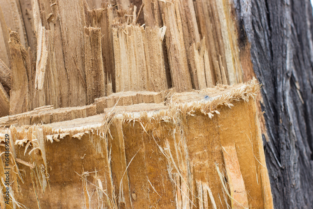 Splintered Wood Texture