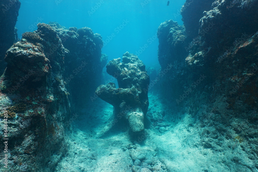 Natural rock formation underwater on the ocean floor carved by the ...