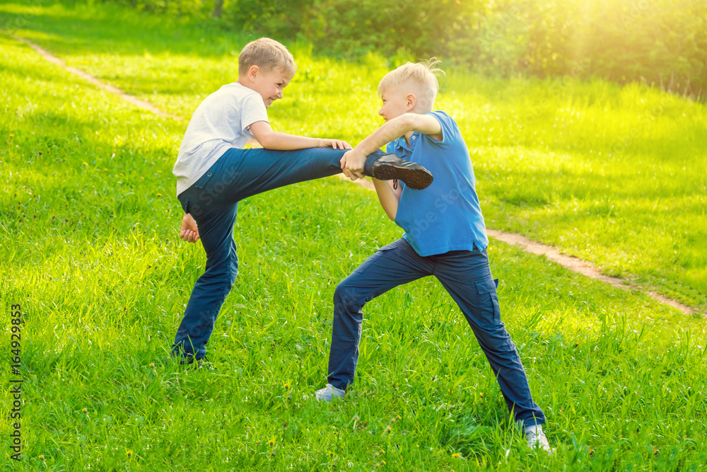 Two boys fighting in the park Stock-Foto | Adobe Stock