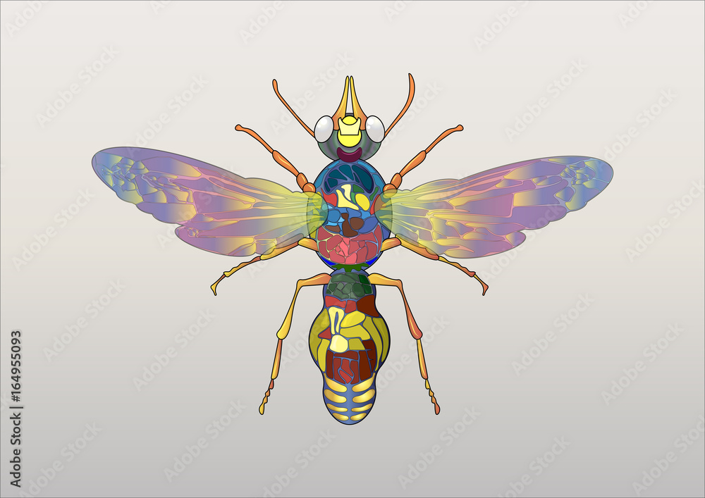 Rainbow Fly Stock Vector | Adobe Stock