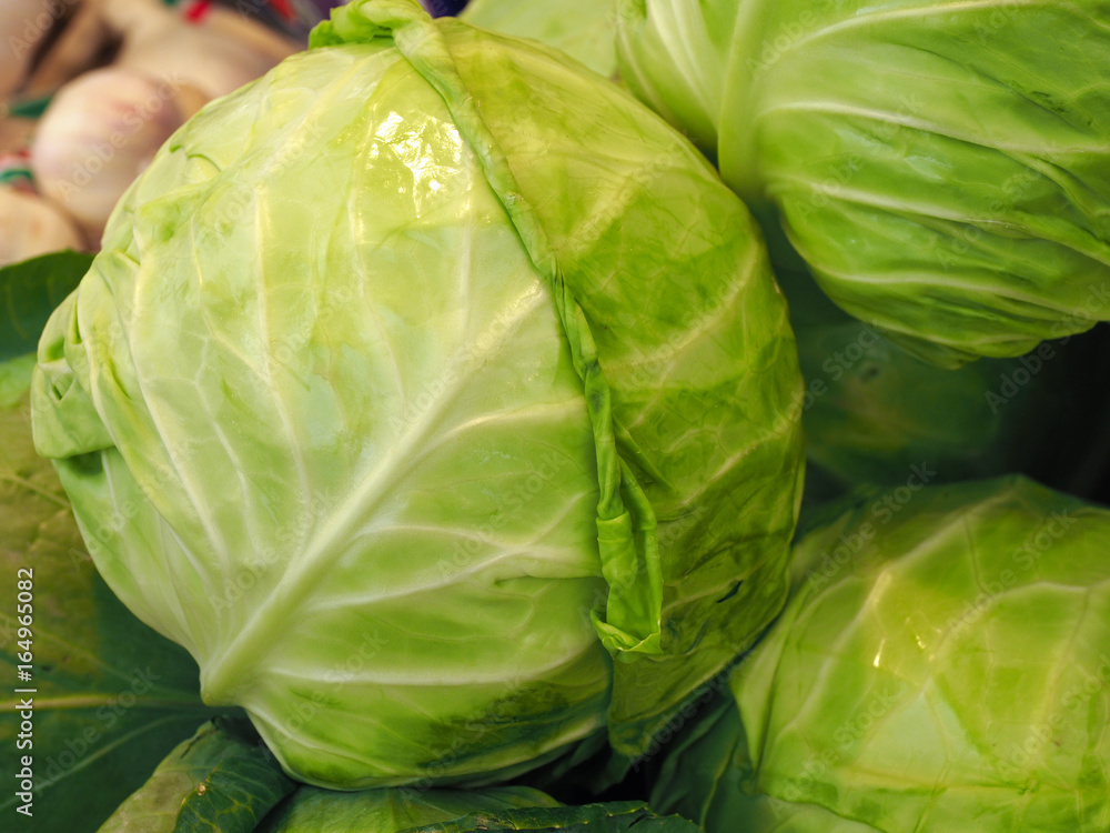 Weisskraut Stock Photo | Adobe Stock