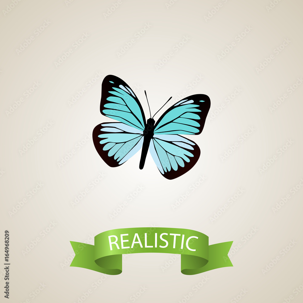 Realistic Demophoon Element. Vector Illustration Of Realistic Lexias ...
