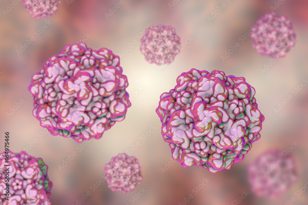 Feline panleukopenia virus, also called as feline infectious enteritis ...