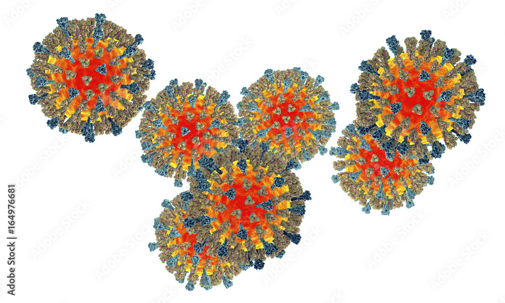 Measles Virus Structure