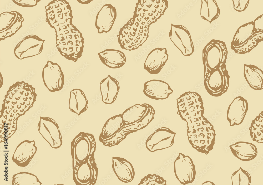 Peanut Vector Art