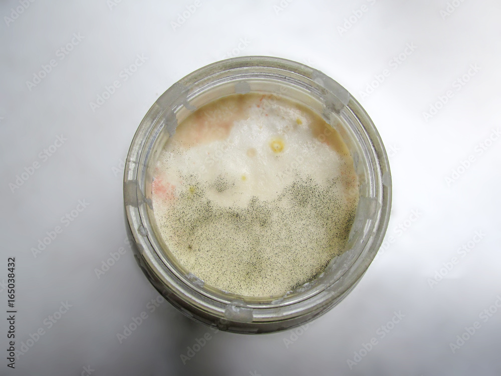 Three kinds of mold on milk in a round container on a white background ...