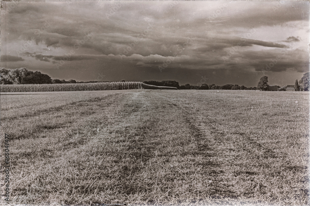 Farm Land Black And White