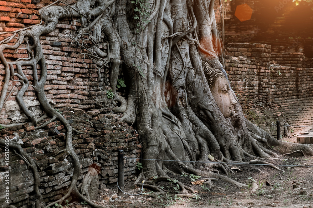 Ayutthaya Buddha Head statue with trapped in Bodhi Tree roots at Wat ...