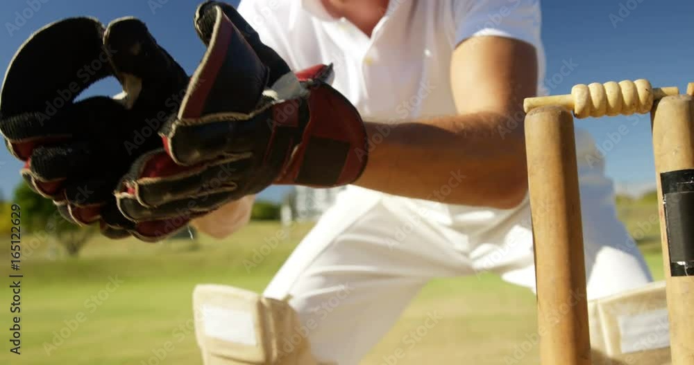 Wicket keeper collecting cricket ball behind stumps on cricket field ...