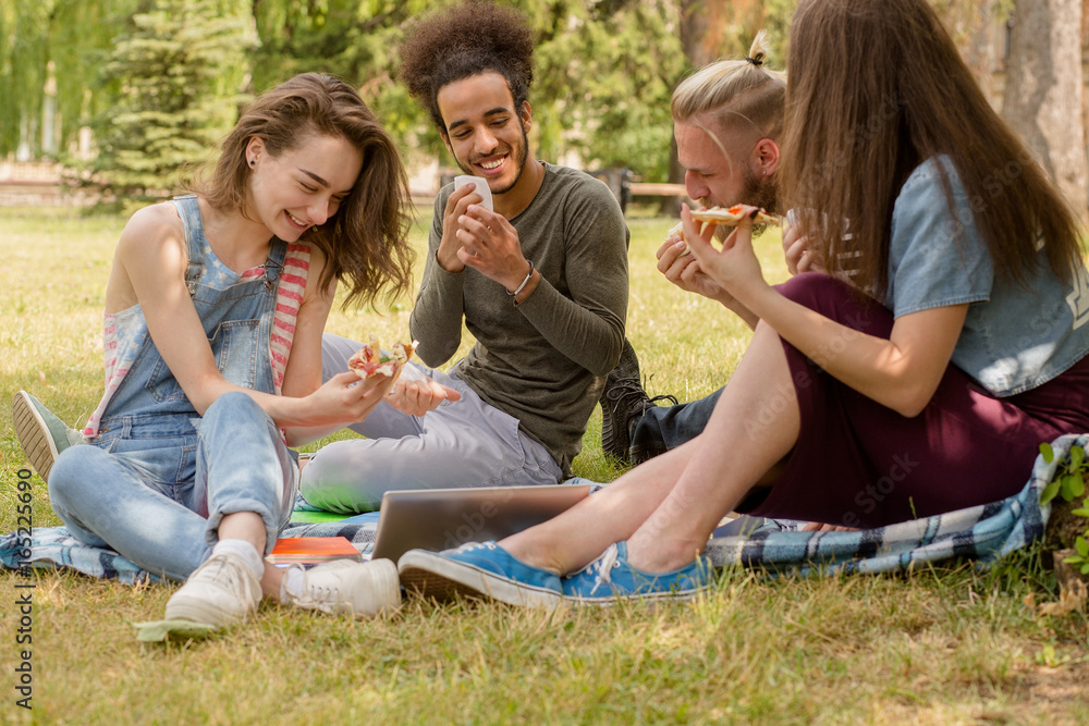 University students eating pizza while studying on grass. Multiethnic ...