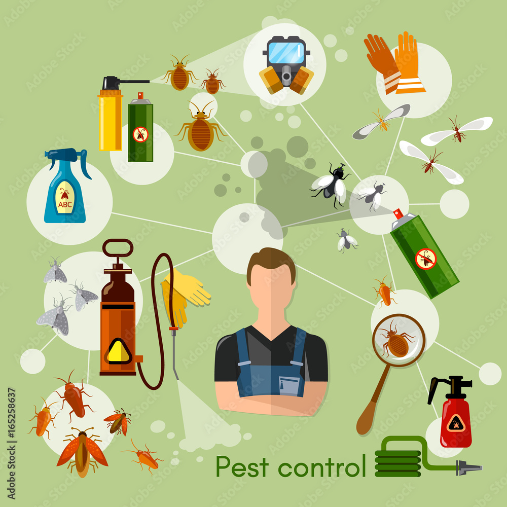 Pest control services infographics detecting exterminating insects ...