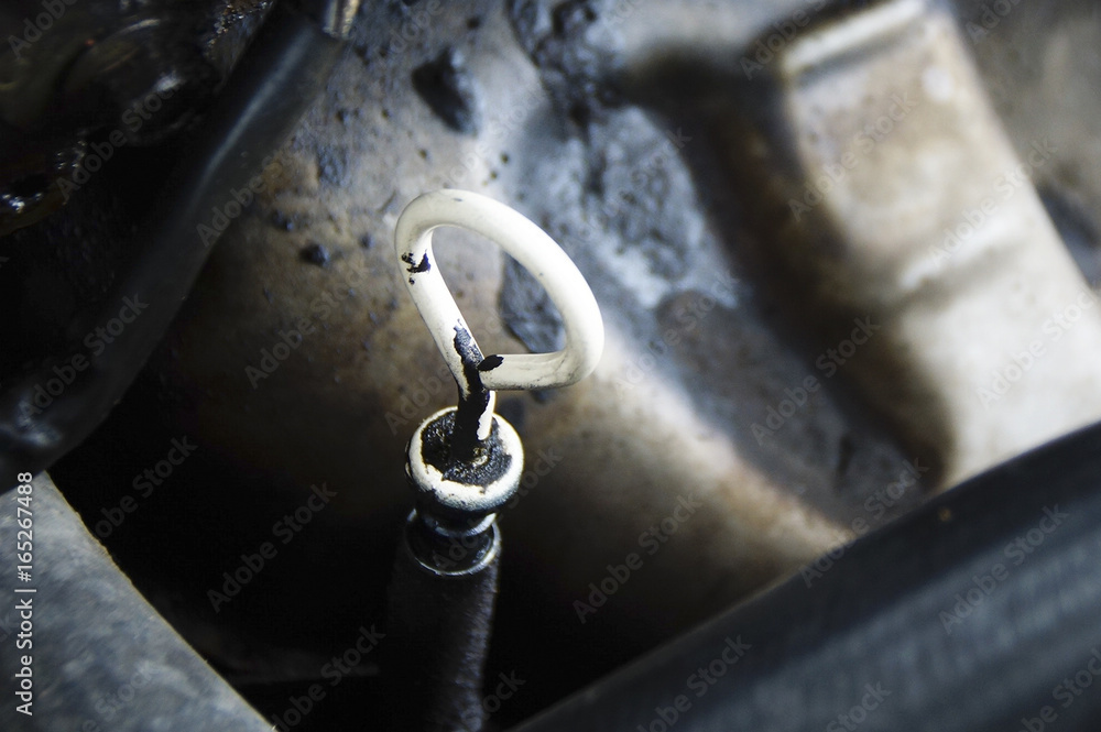 Checking And Topping Up Engine Oil Stock Photo | Adobe Stock