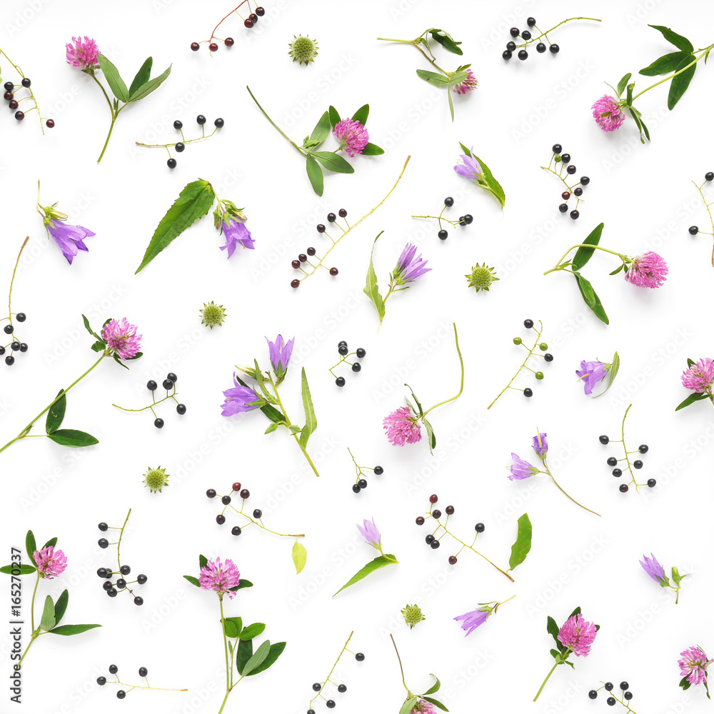 Flower pattern of wildflowers. Composition of flowers and plants. Top ...