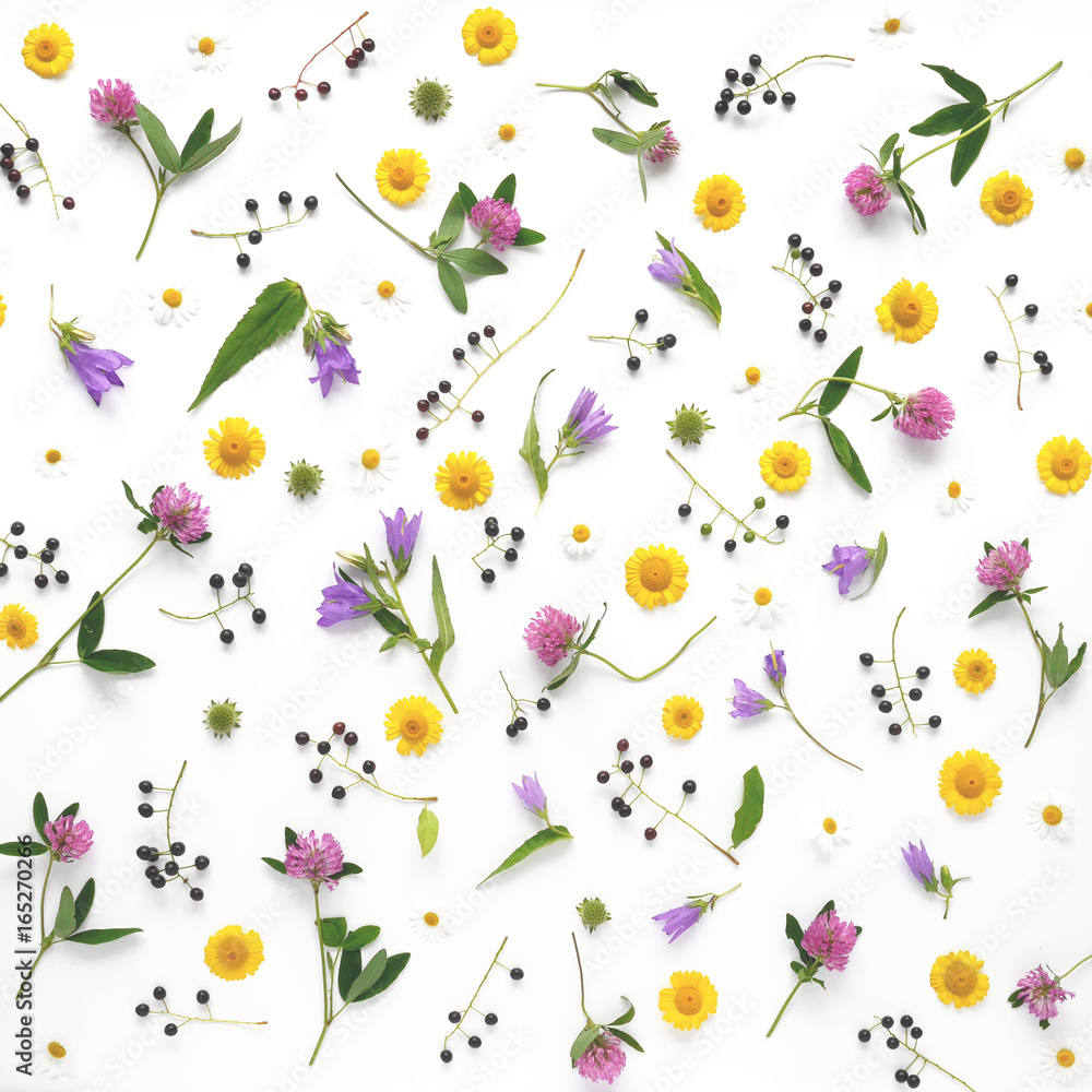 Flower pattern of wildflowers. Composition of flowers and plants. Top ...