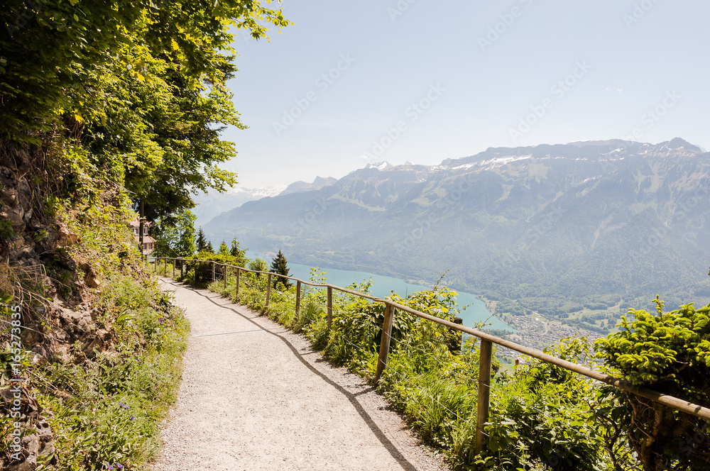 Interlaken, Harder Kulm, Wanderweg, Wanderer, Schutzwald, Aussichtsberg, Brienzersee, Bönigen ...