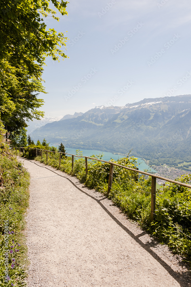 Interlaken, Harder Kulm, Wanderweg, Wanderer, Schutzwald, Aussichtsberg, Brienzersee, Bönigen ...