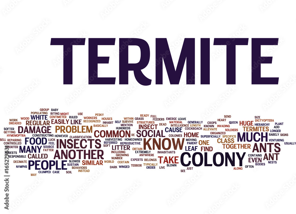 TERMITE VS Text Background Word Cloud Concept Stock Vector | Adobe Stock