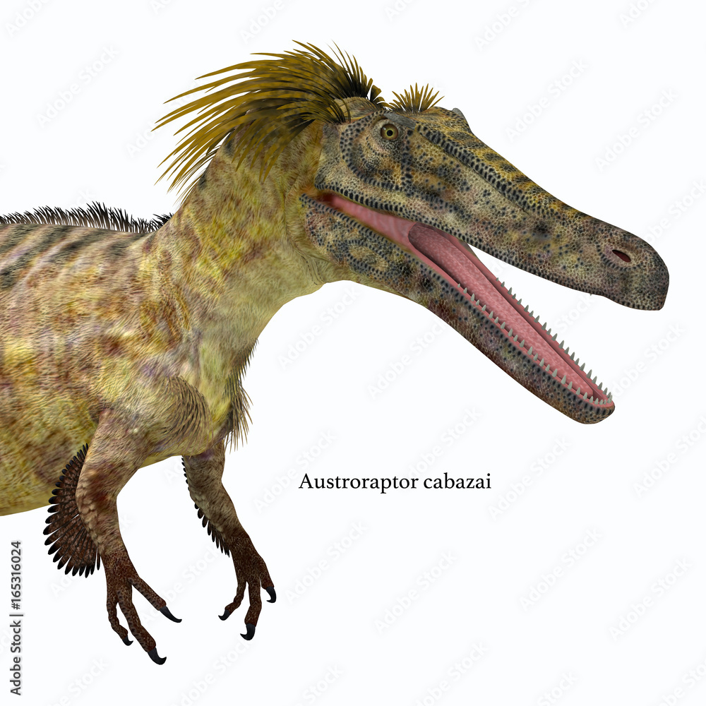 Austroraptor Dinosaur Head with Font - Austroraptor was a carnivorous ...