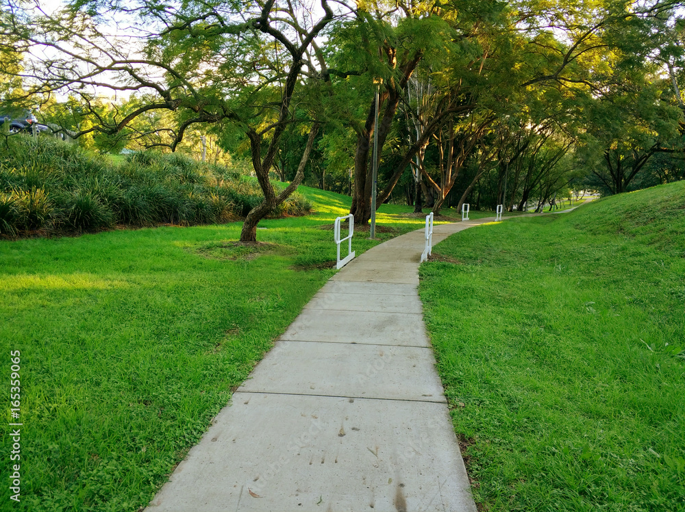 Harmony Gardens Dutton Park Qld | Fasci Garden