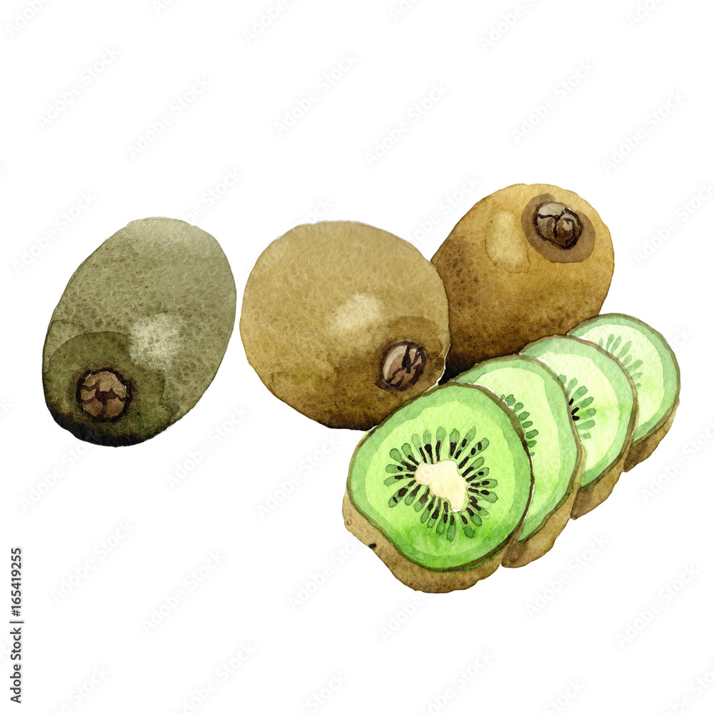 Exotic kiwi healthy food in a watercolor style isolated. Full name of ...
