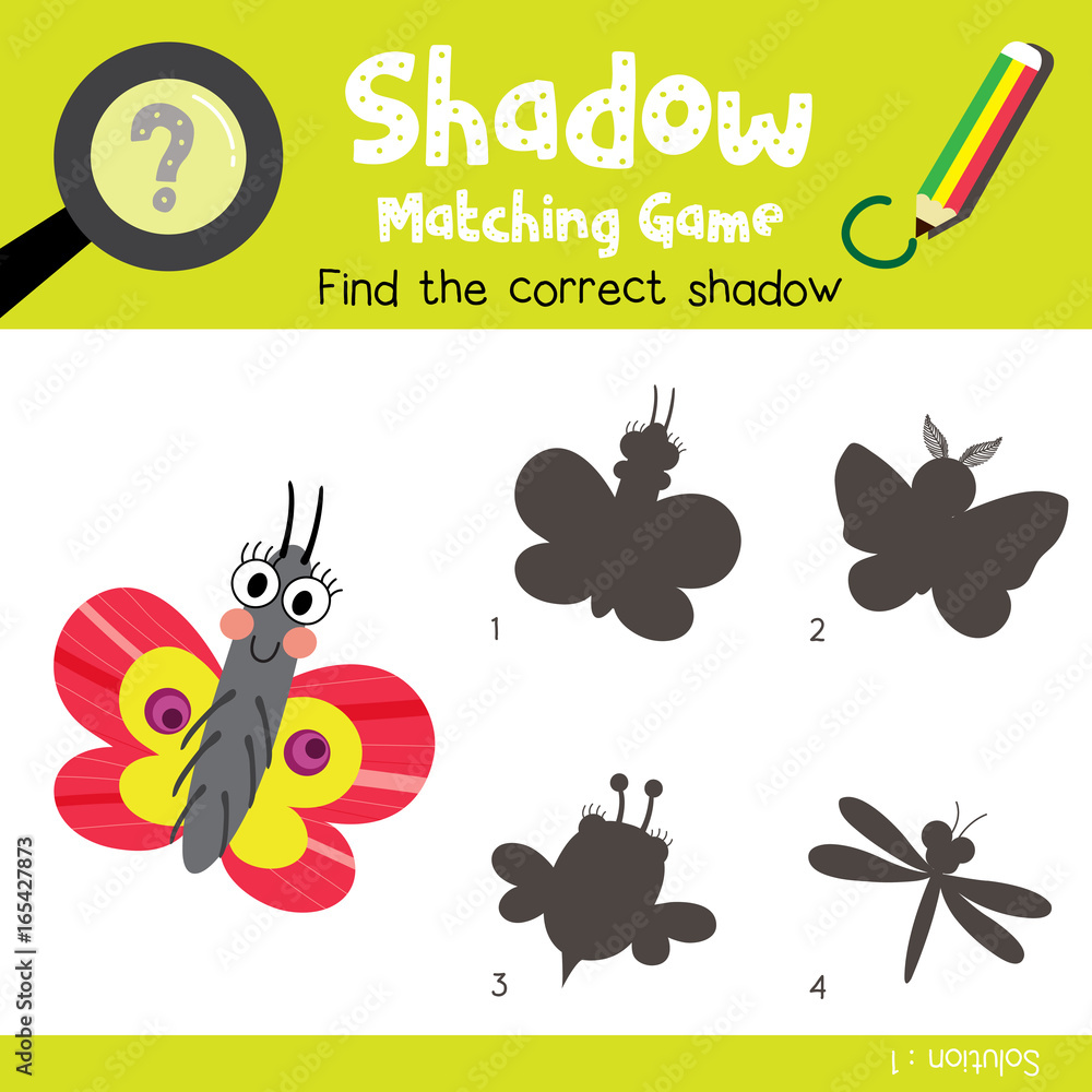 Shadow matching game of Butterfly animals for preschool kids activity ...