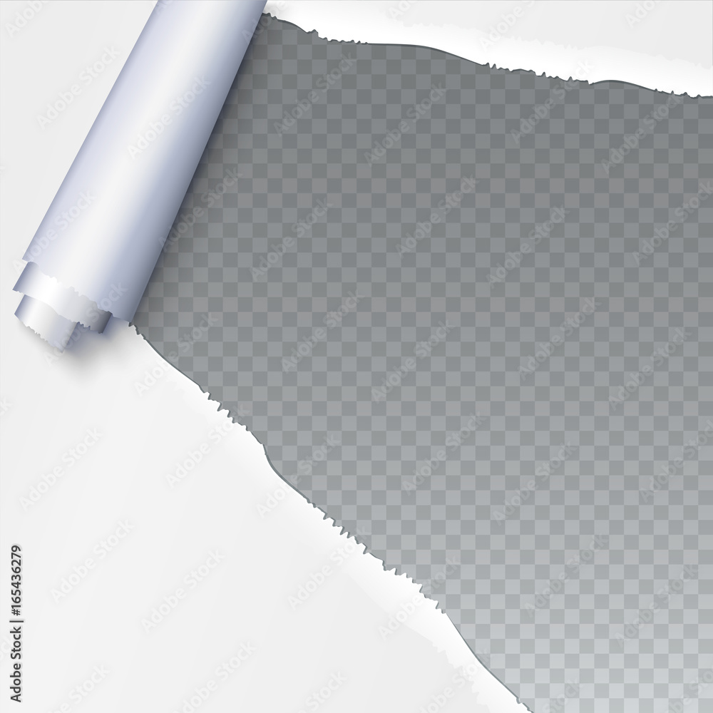 Realistic torn open paper with space for text on transparent background ...