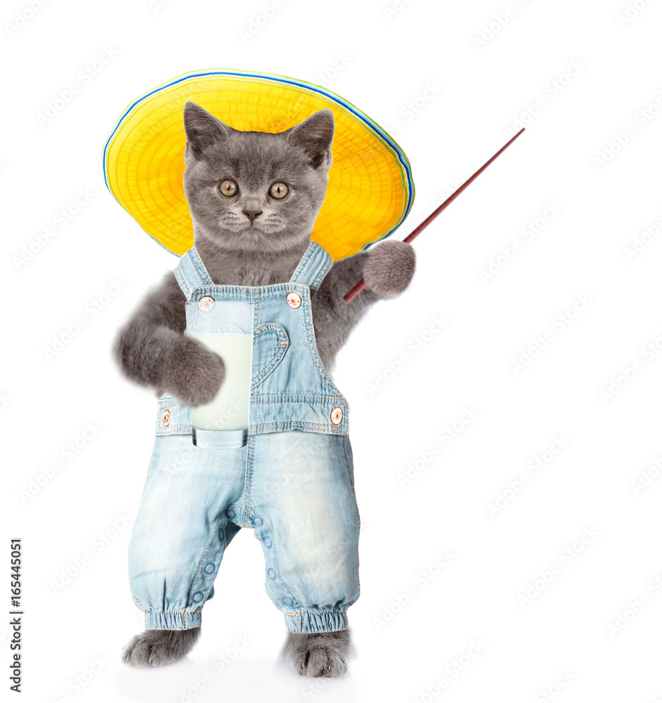 Funny cat farmer with summer hat and glass of milk holding pointing ...